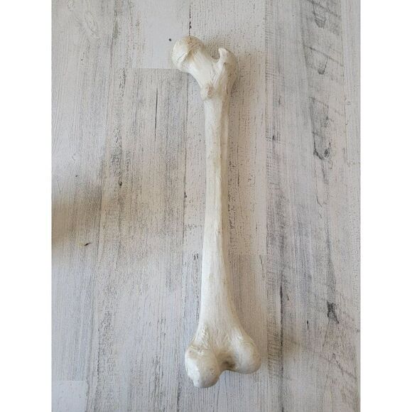 unbranded | Holiday | Halloweenfemur Boneskeleton Lawn Decor Prop Scary ...